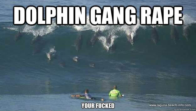 Dolphin Gang Rape memes | quickmeme